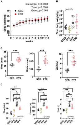 Frontiers | Effects of short-term exercise and endurance training on skeletal muscle ...